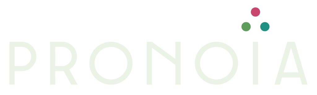 PRONOIA - Jimbaran Beach Resort